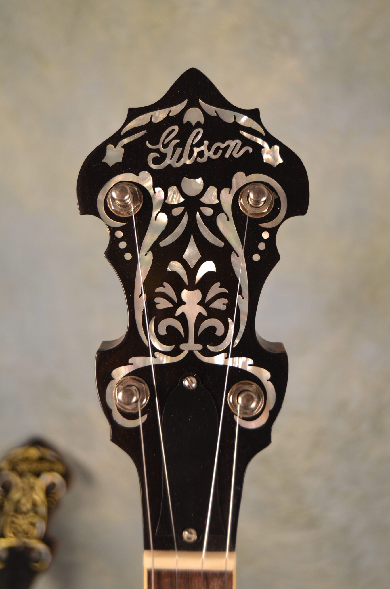 Richmond, Virginia Banjo repair, Conversion Necks, Inlay and Banjo Gear ...